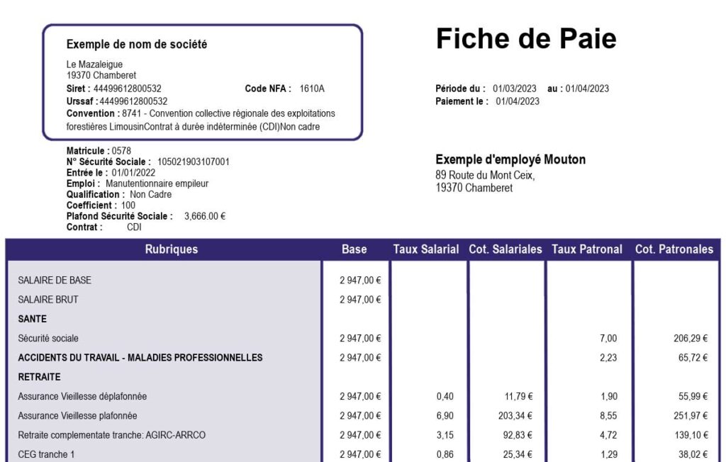 Comment obtenir un duplicata de fiche de paie ? - Générateur de fiches de paie en ligne